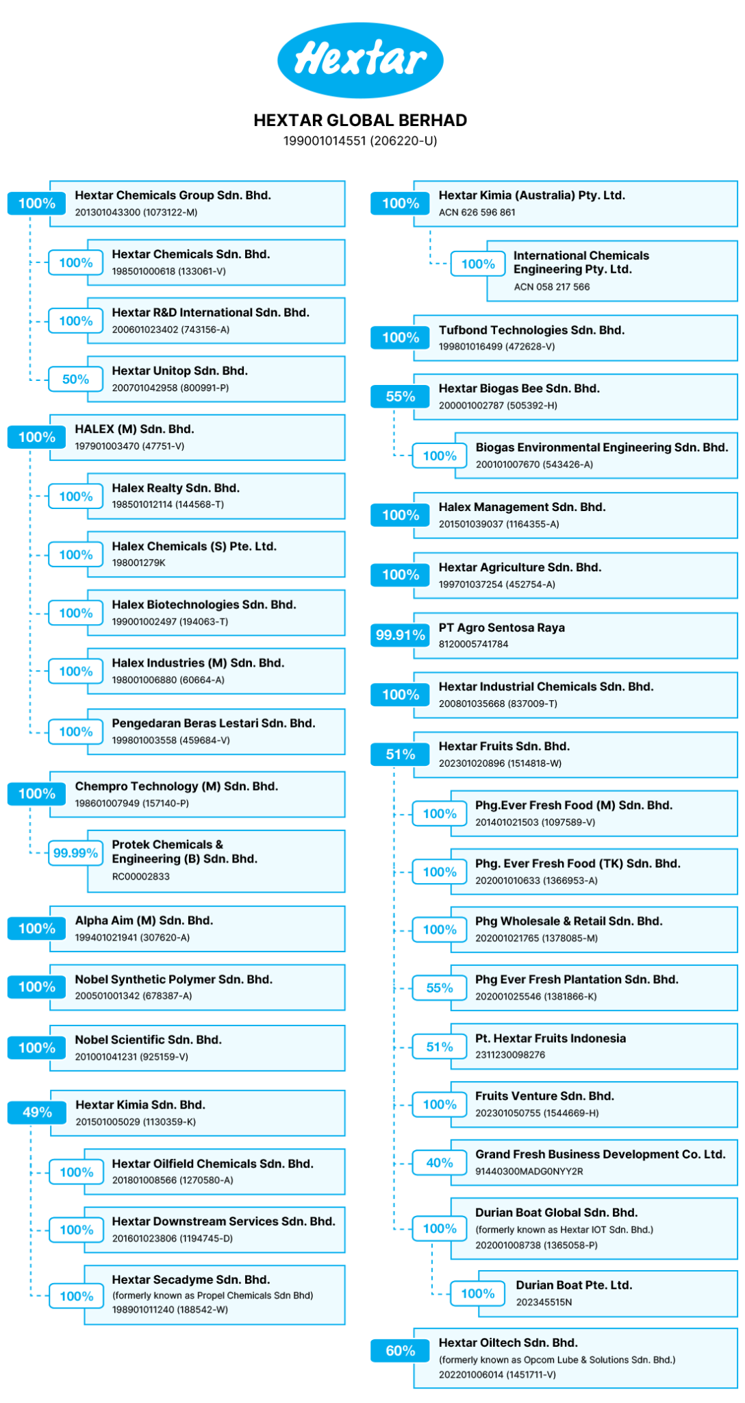 Corporate Structure | Hextar Global Berhad
